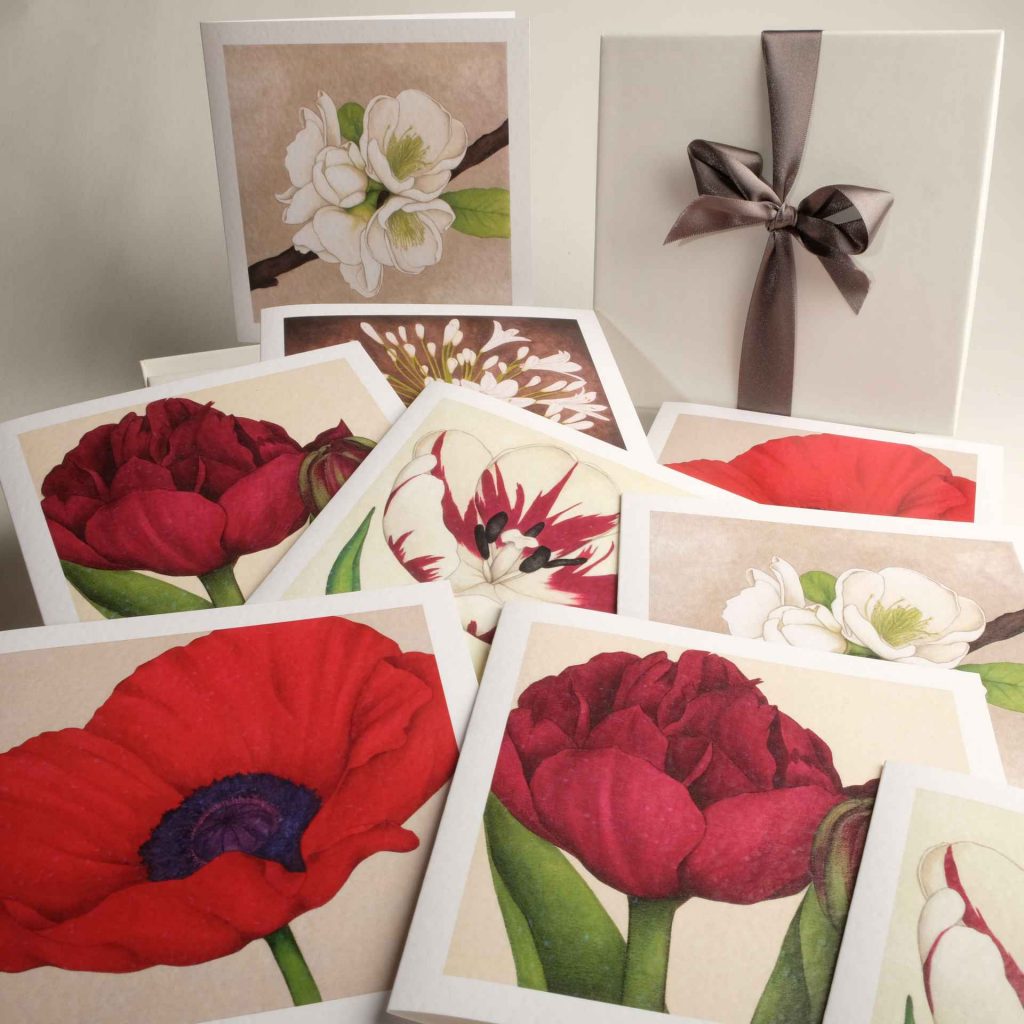 Gift Box of 10 Flower Design Plain Greetings Cards