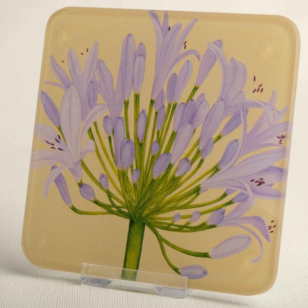 Square Glass Coaster - Jaci Hogan Art