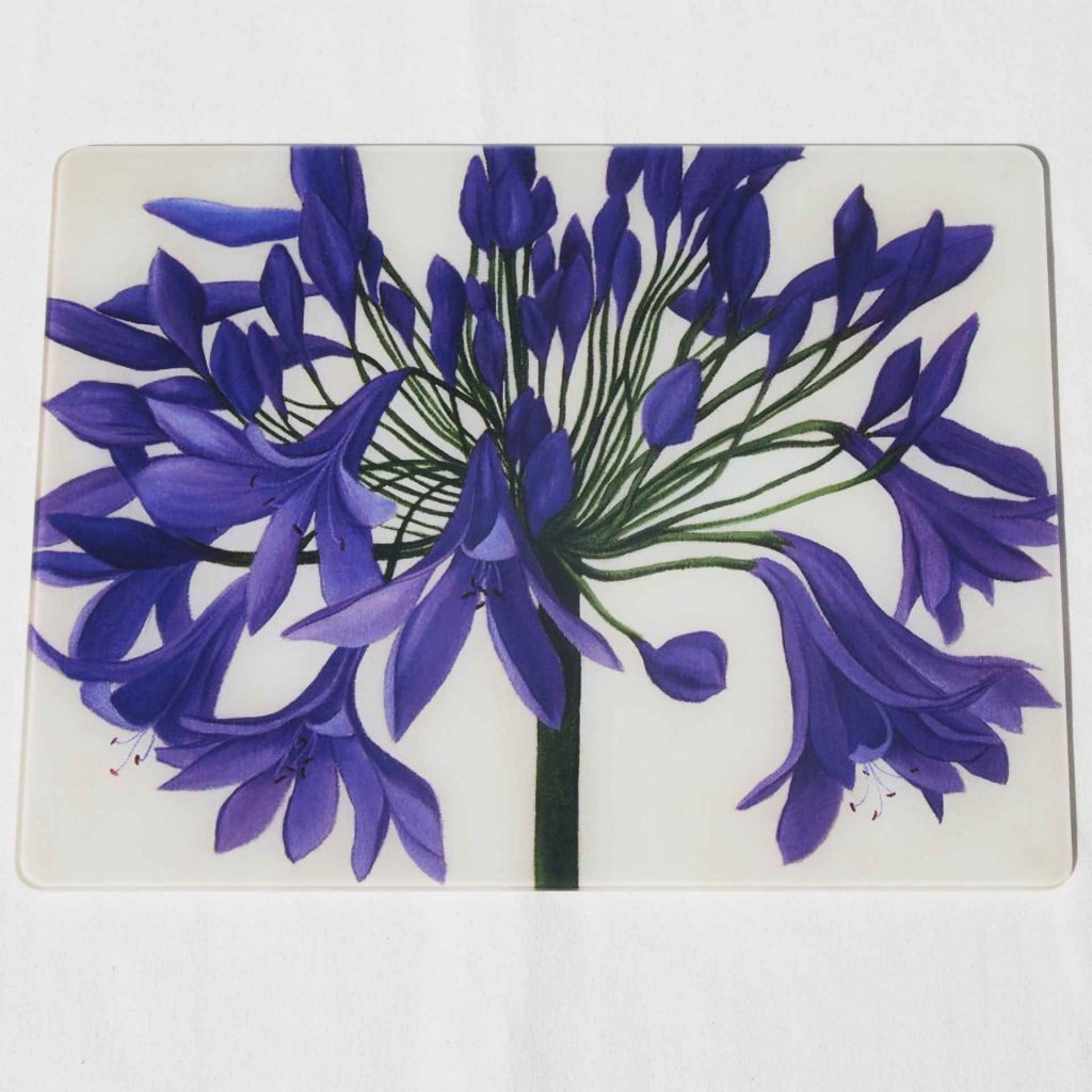 Rectangular Glass Mat, Platter, Trivet, Worktop Saver - Jaci Hogan Art