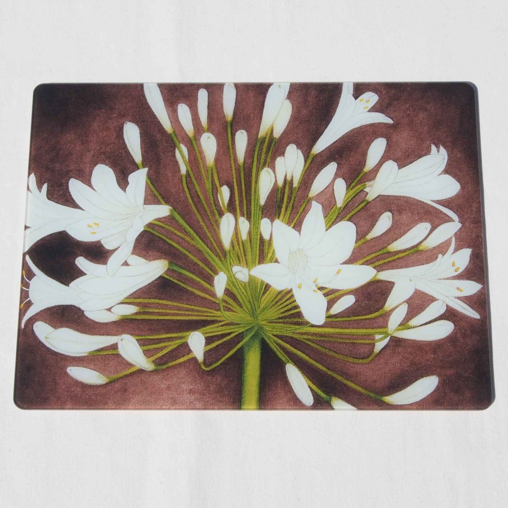 Rectangular Glass Mat, Platter, Trivet, Worktop Saver - Jaci Hogan Art