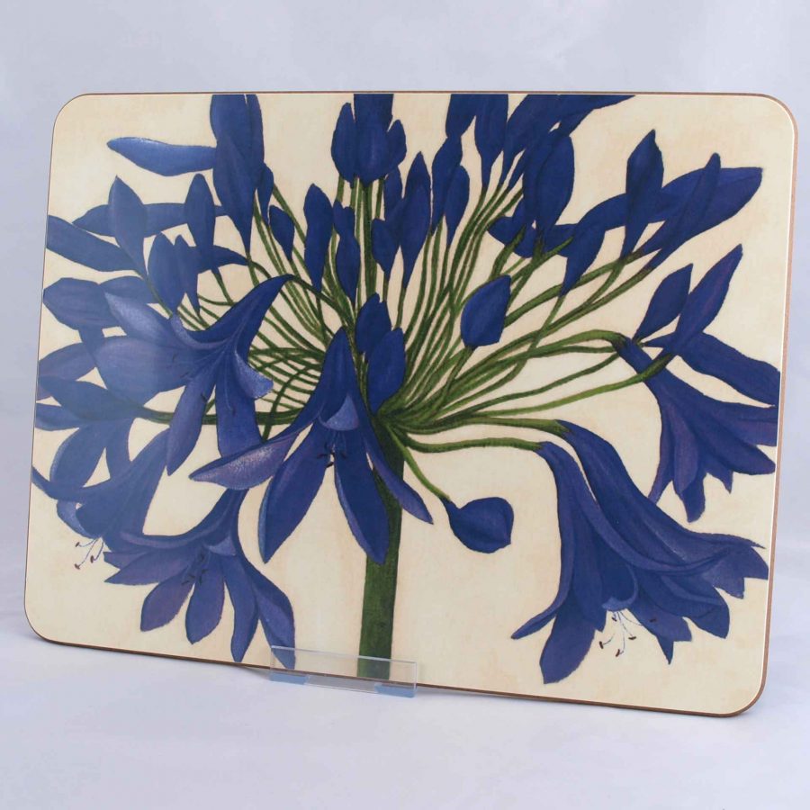 Large Rectangular Melamine Table Mat - Jaci Hogan Art